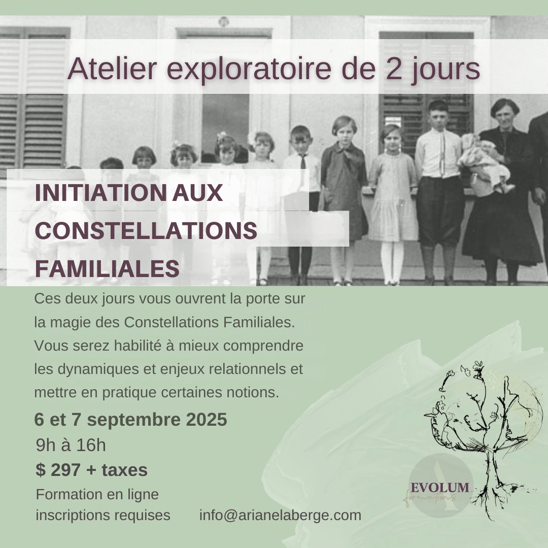 Initiation Constellations Familiales