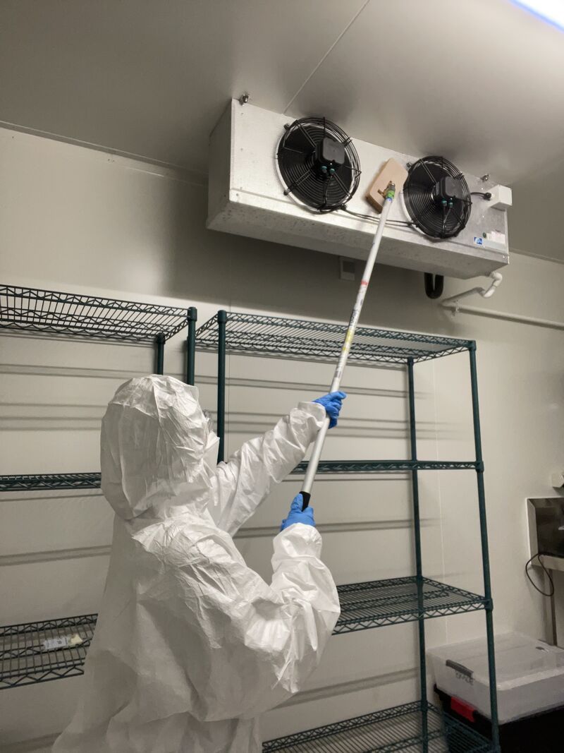 Laboratory Cool Cold Room Mould Remediation