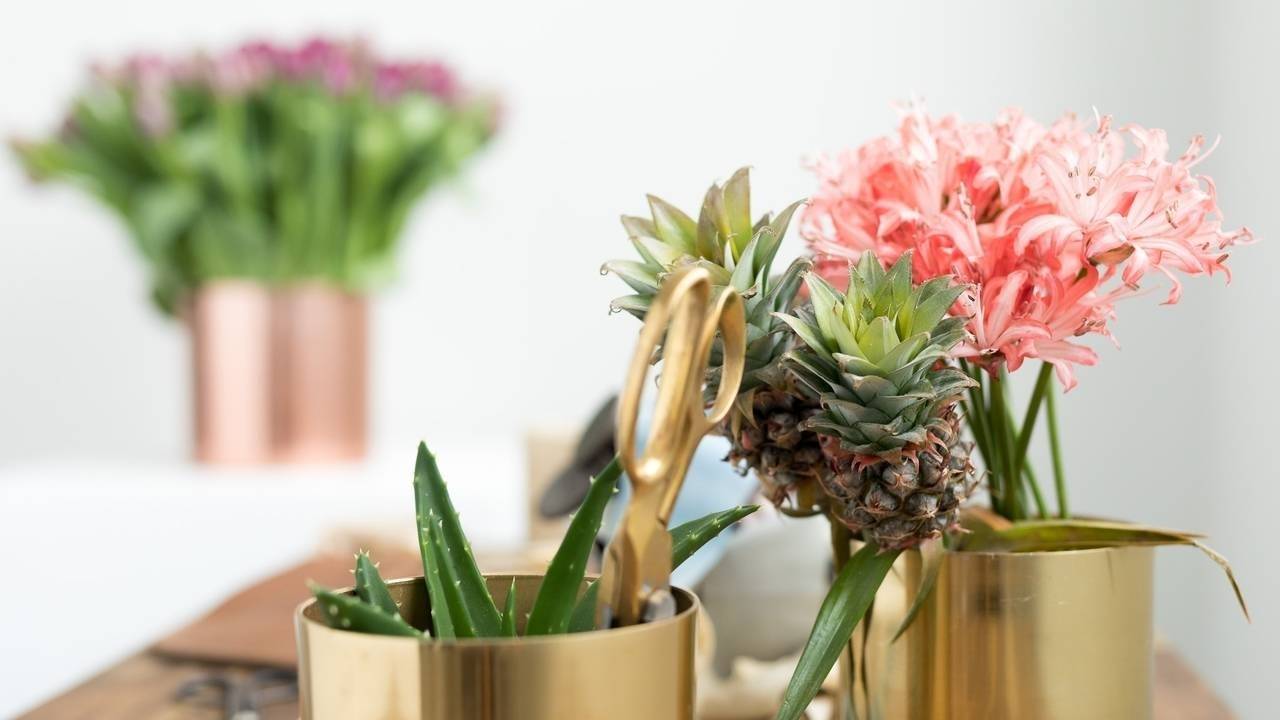 Bloom In Business Getting Started