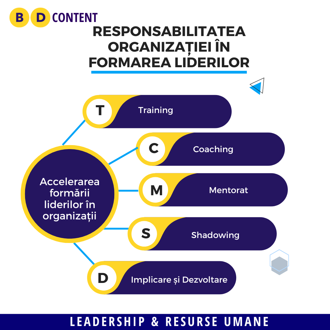 Devenirea ca lider. Lider vs. șef