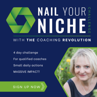 Nail Your Niche Challenge