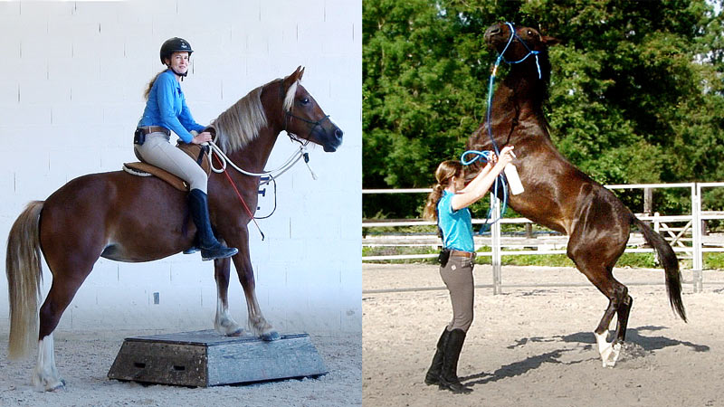 Gwayne - Fougita Colt Start Documentary