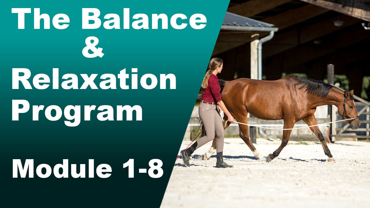 Check Out Operation Dream Horse