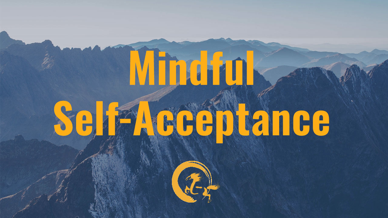 Mindful Self-Acceptance with Fleet Maull PhD