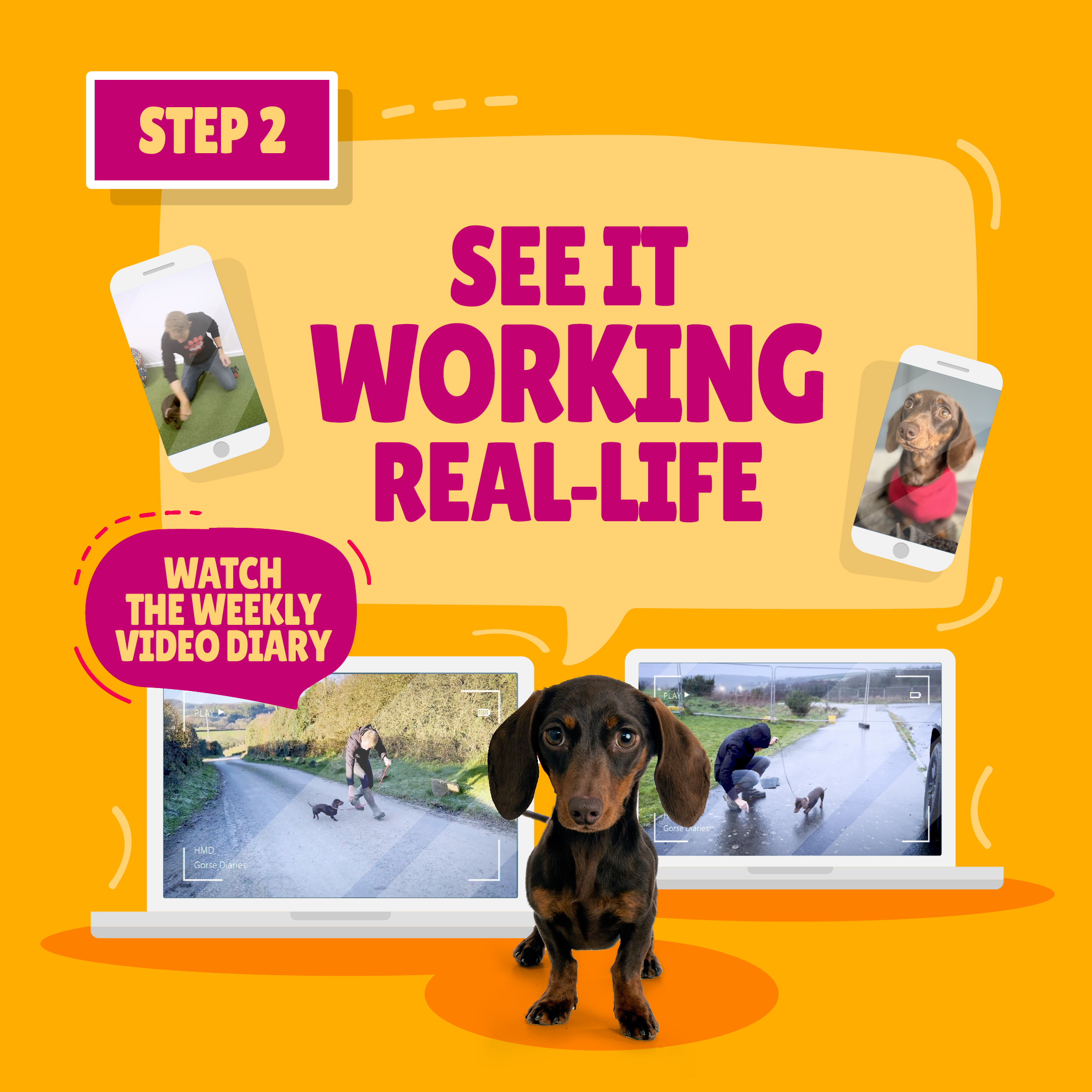 Join The Help My Dog Hub