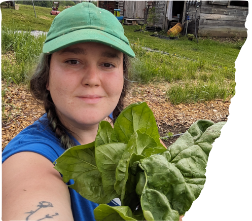 White Mountain Book Writing Retreat 2025