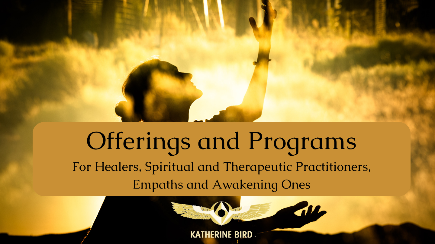 Programs Courses and Offerings