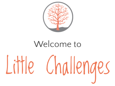 Little Challenges