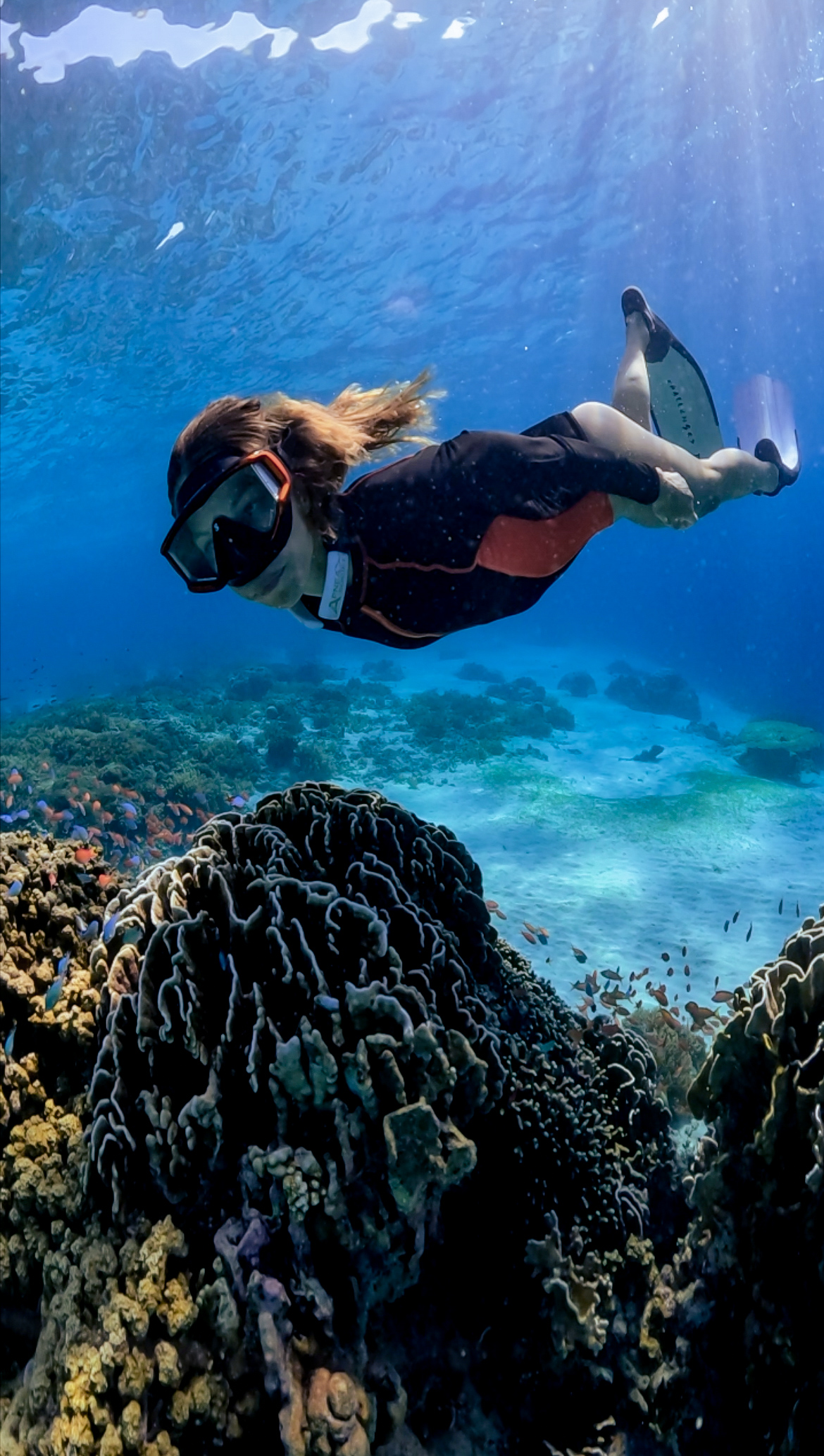 Coral Sense - About Us