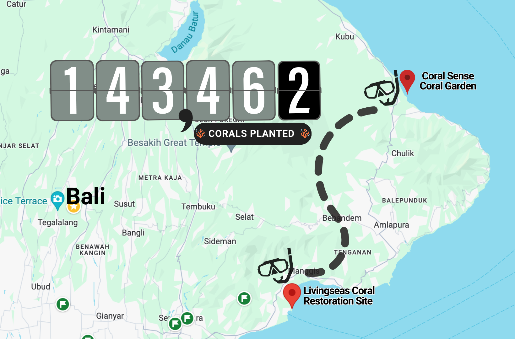 Coral Sense Bali - Home