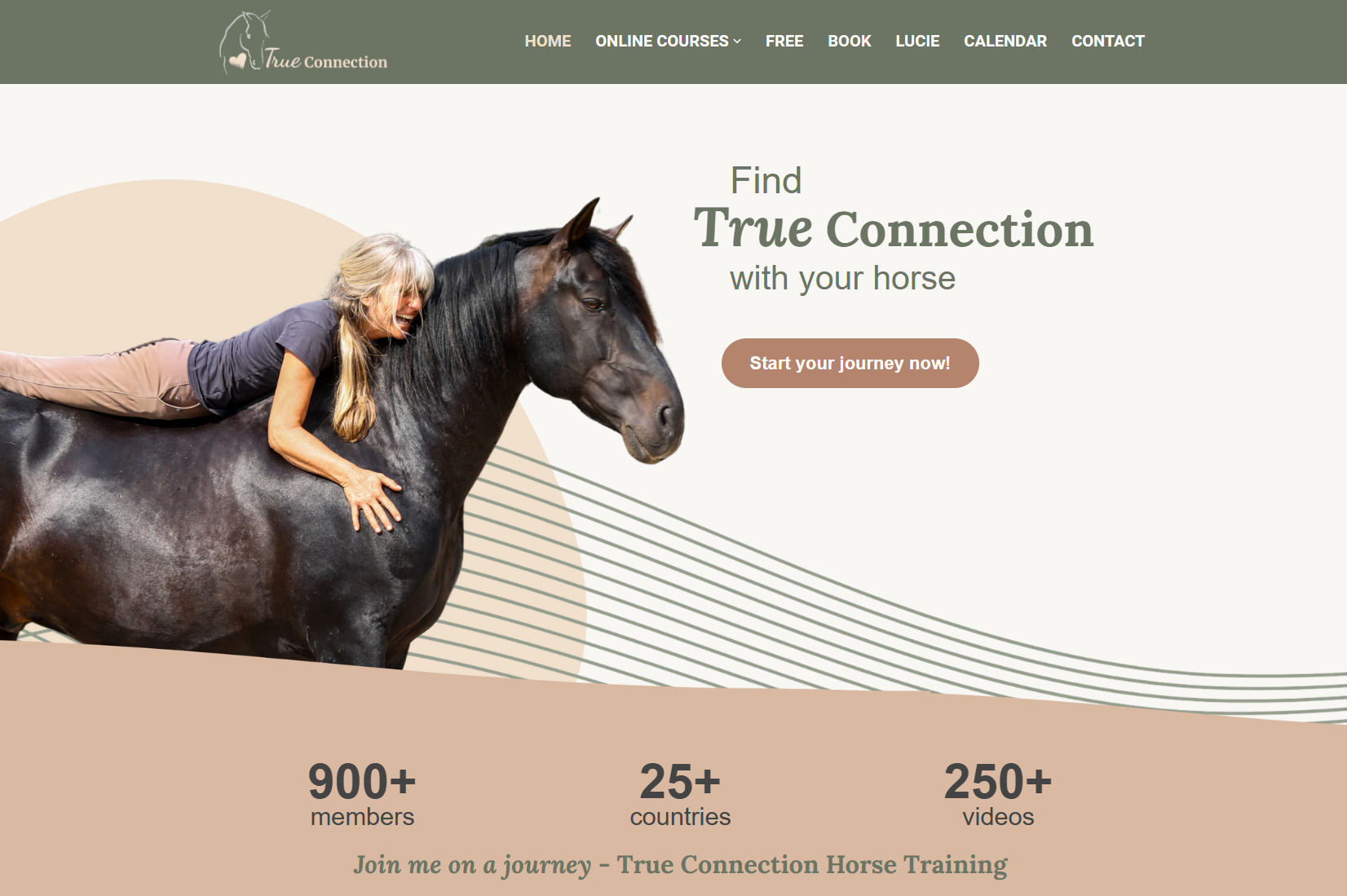 True Connection Horse Training