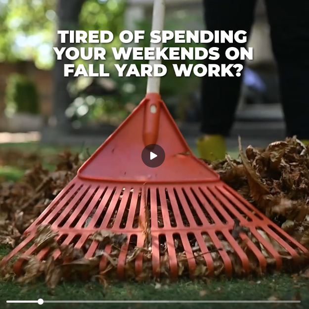 Fall Clean-Up Marketing Bundle