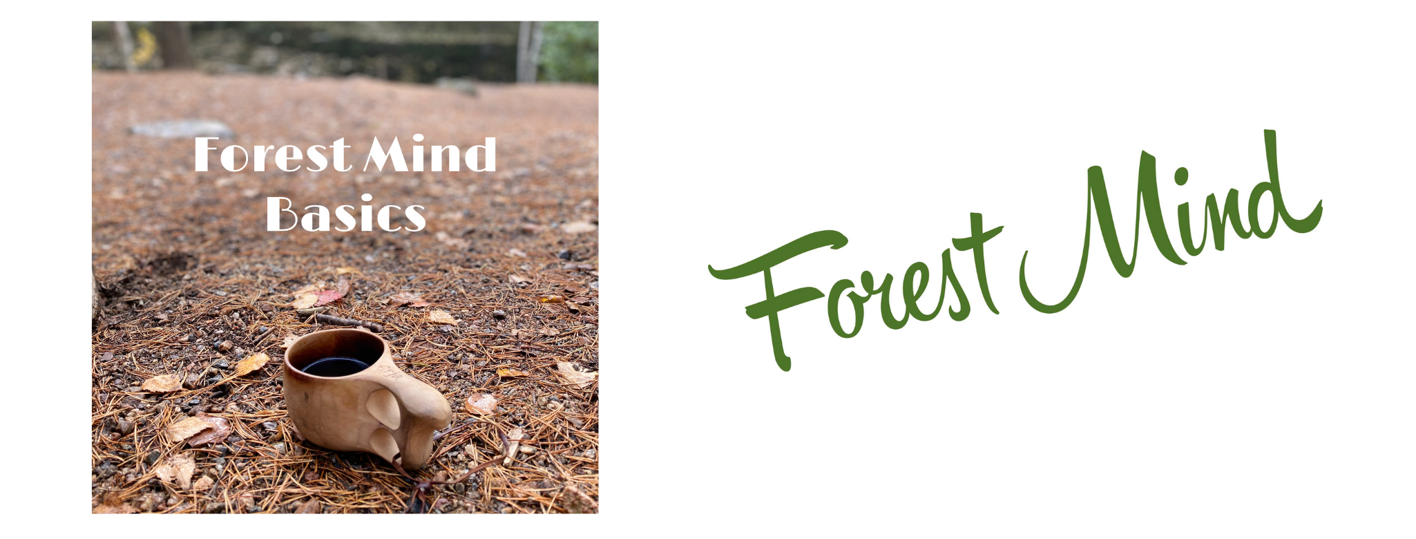 Forest Mind Basics