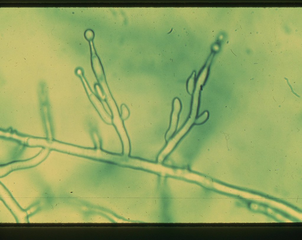 Quantal Bioscience Research