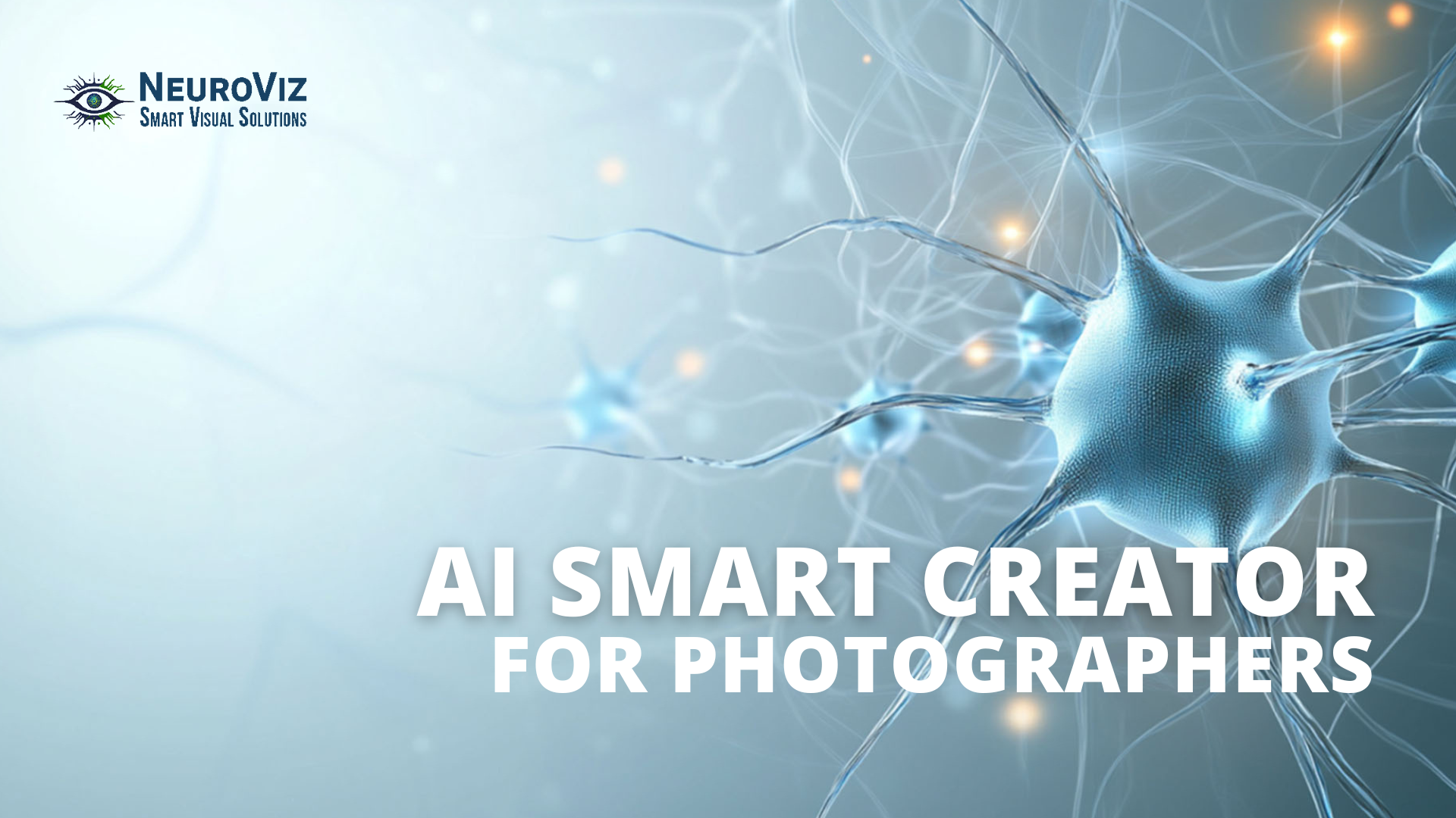 NeuroViz Smart Visual Solutions