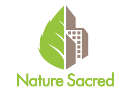 PLAYCE Engagement Academy Training Program