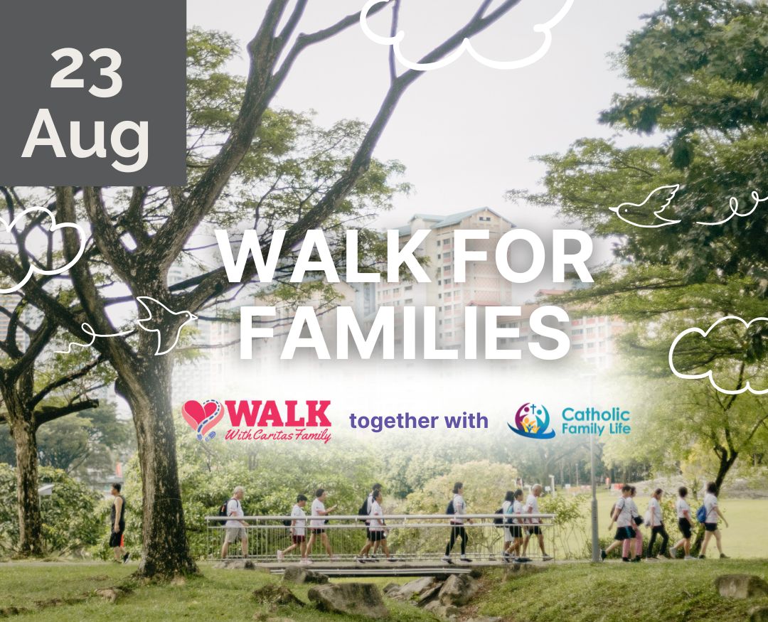 Catholic Family Life - Upcoming Programmes