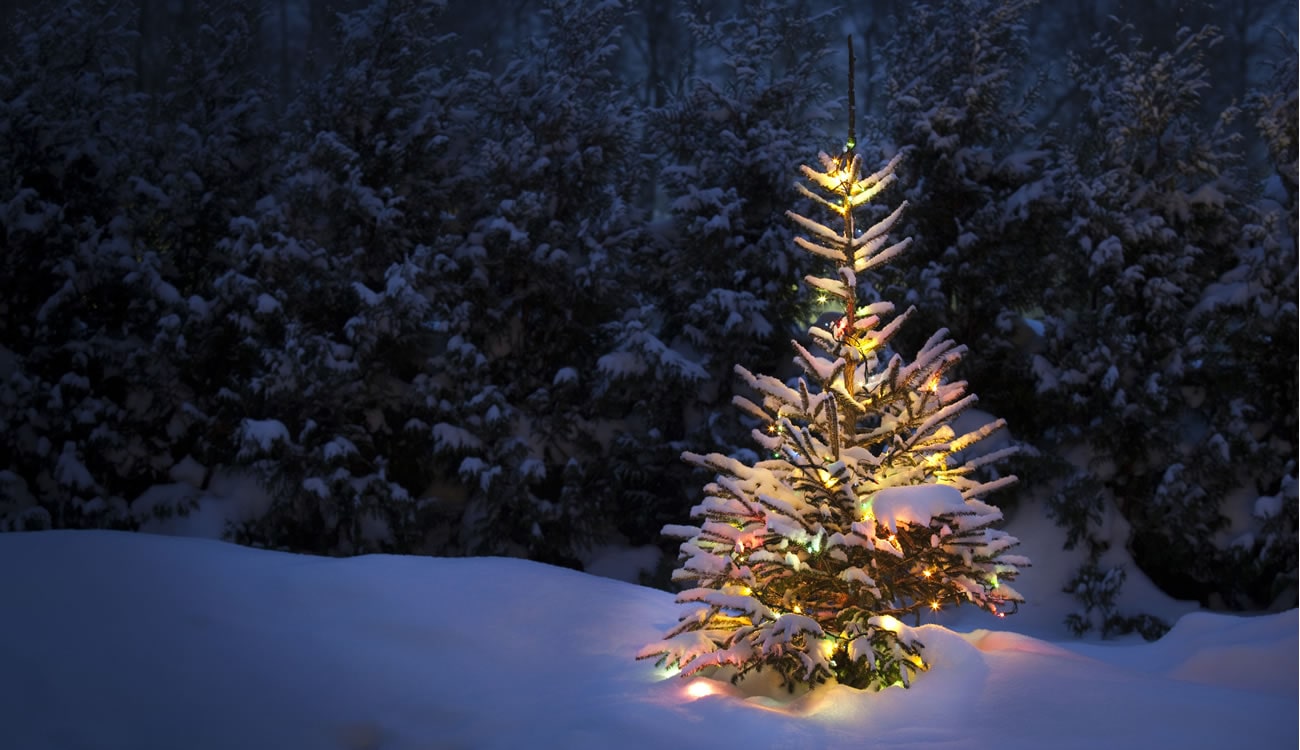 Office Christmas Parties