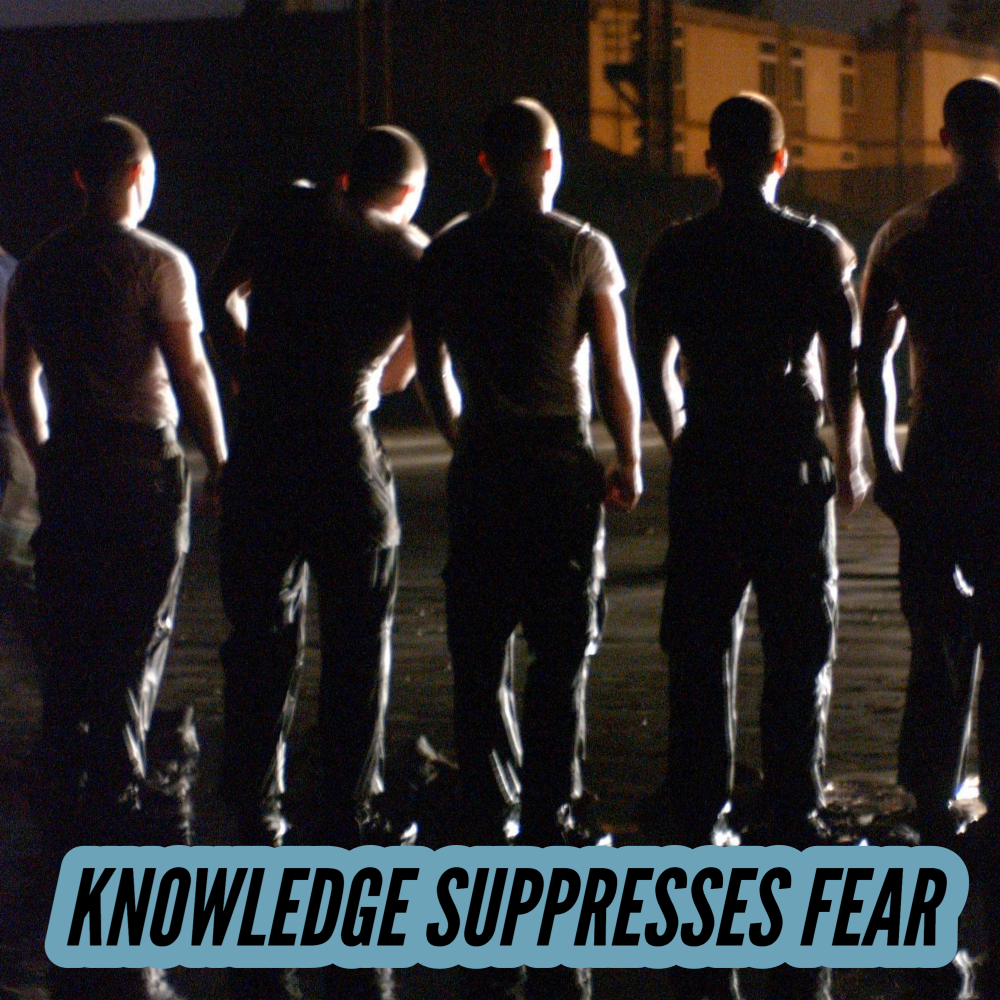Knowledge Suppresses Fear