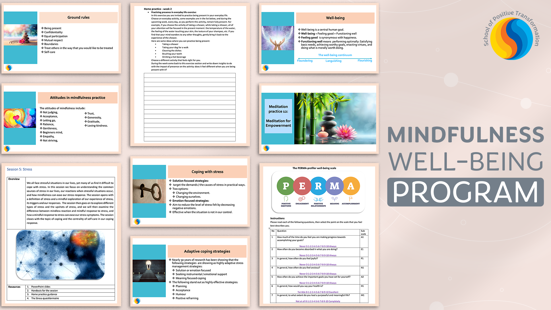 Mindfulness Well-being Program