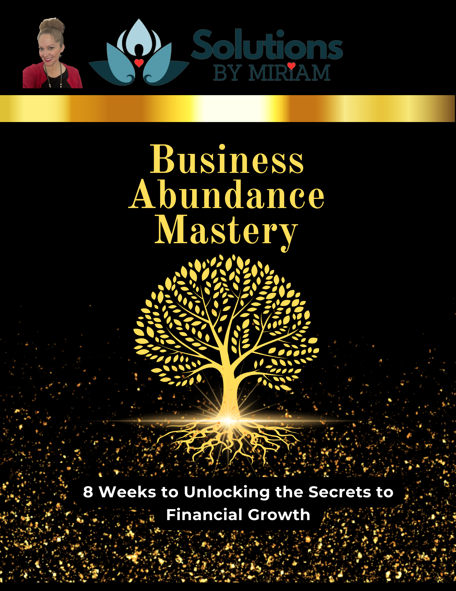 Business Abundance Mastery Program