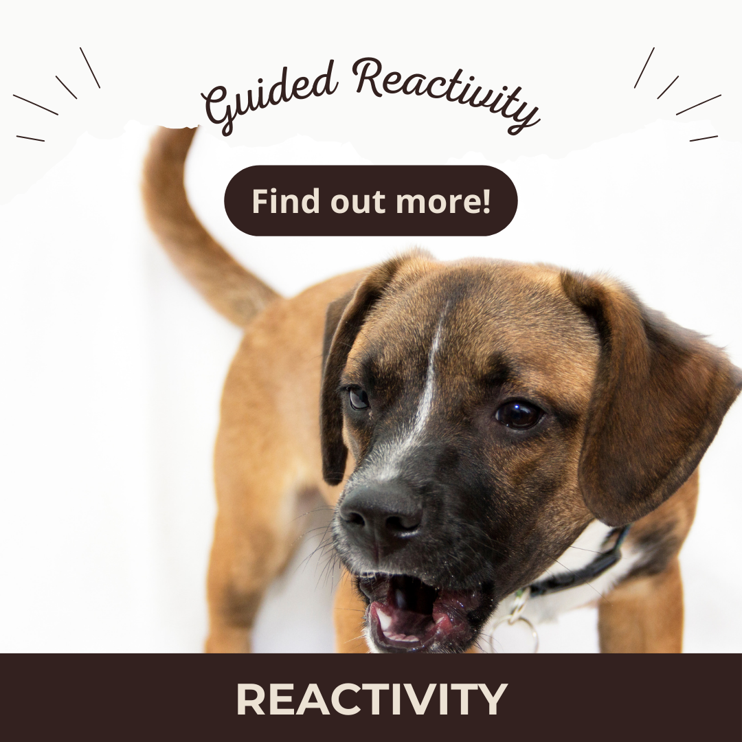 TBTE℠ - Work With Us