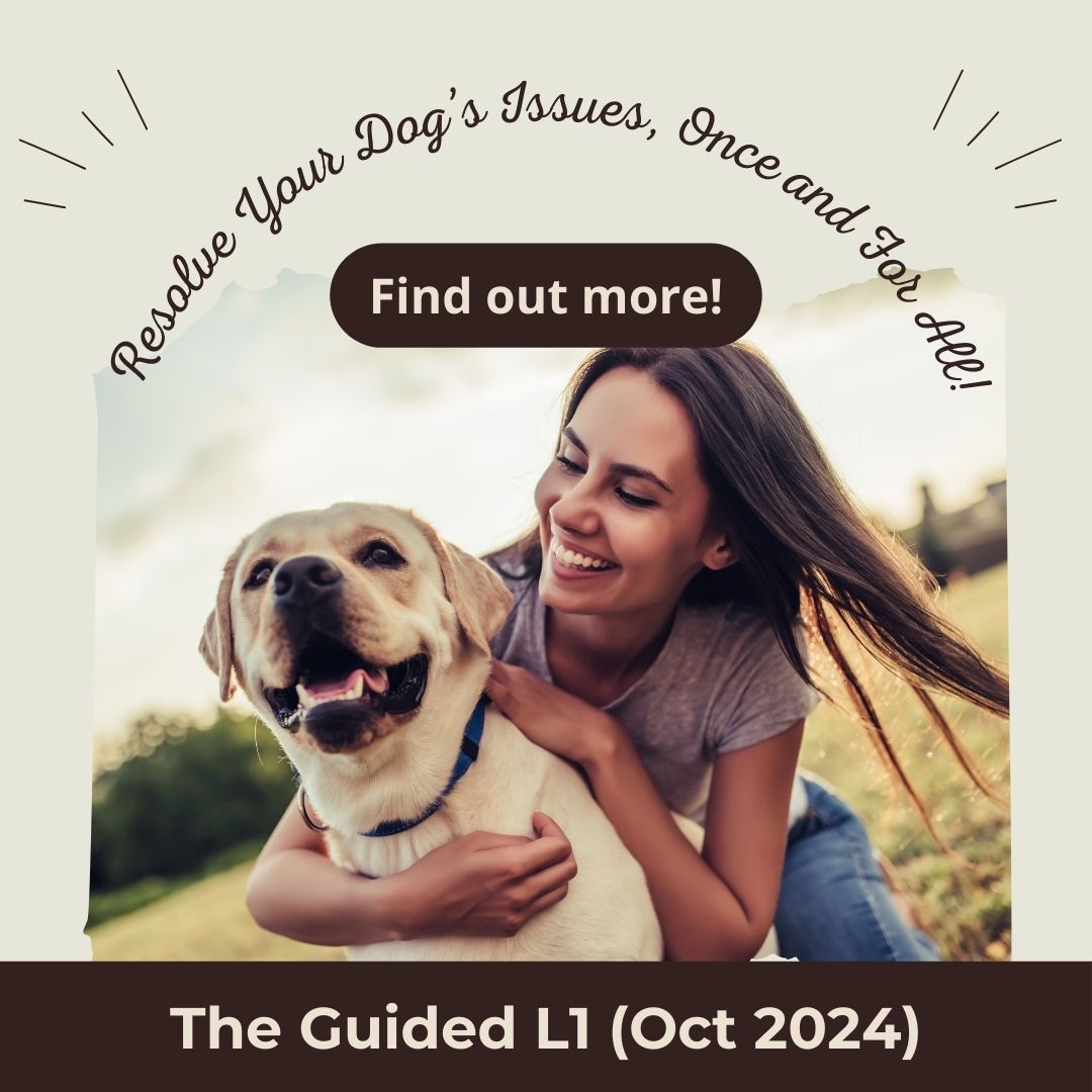 TBTE℠ - Dog Training & Behavior Specialists