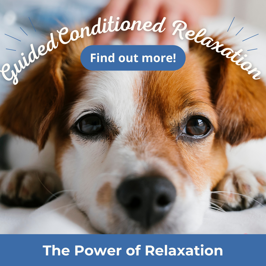 Mastering Conditioned Relaxation with Dogs