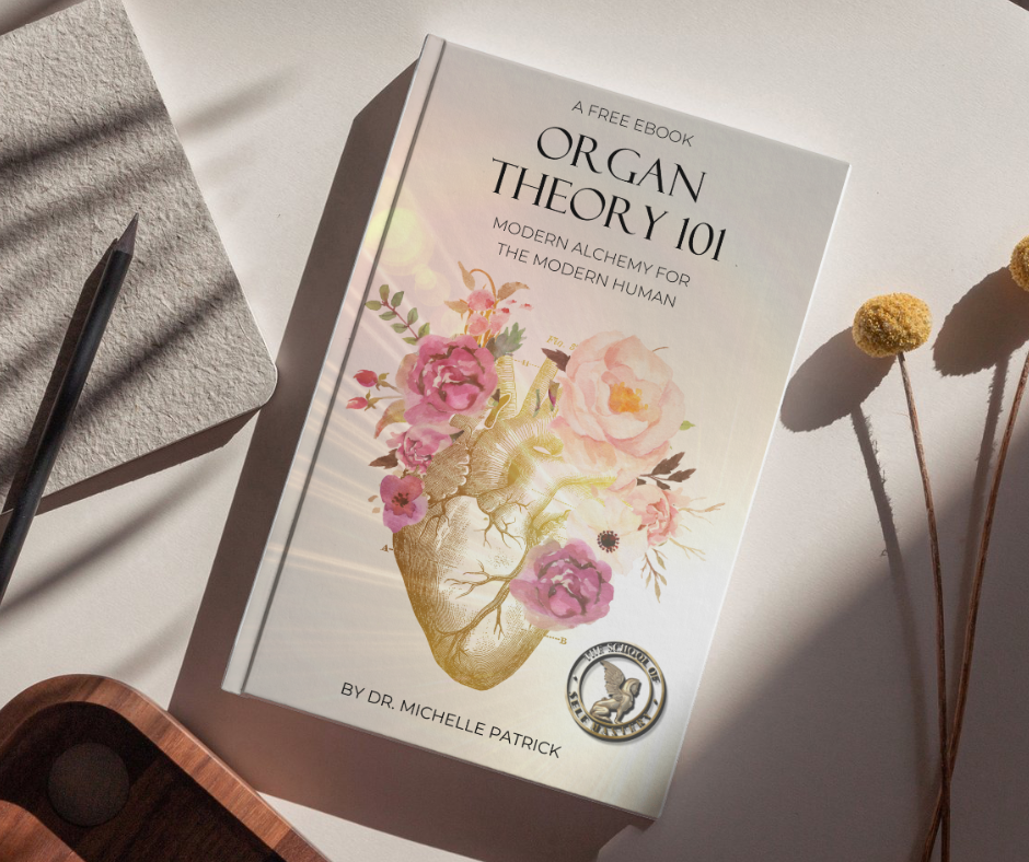 Organ Theory 101 - ebook