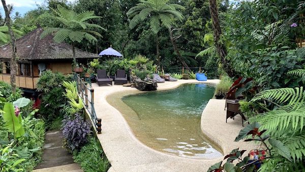 How to Build a Modern Natural Pool GUIDE