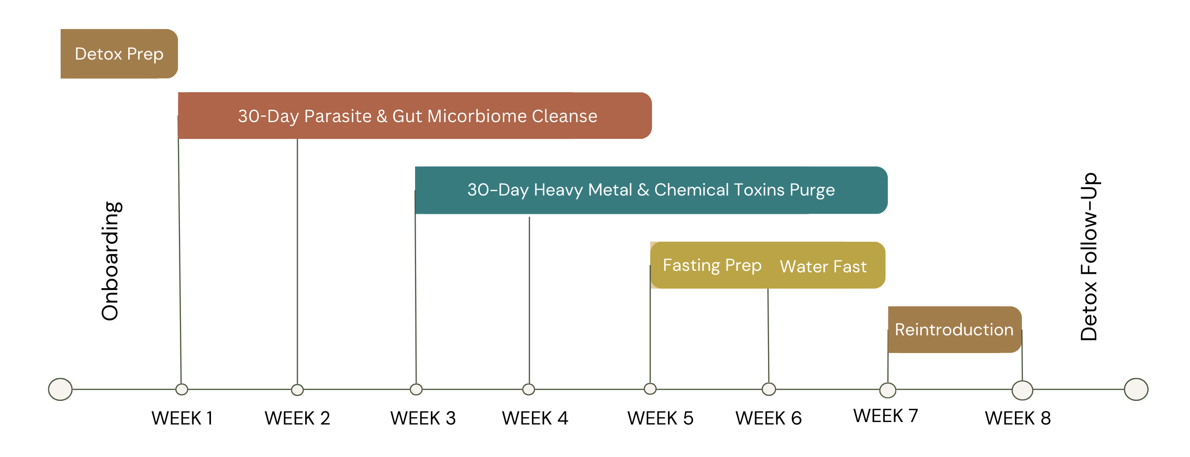 Healing United - 8-Week Accelerated Detox