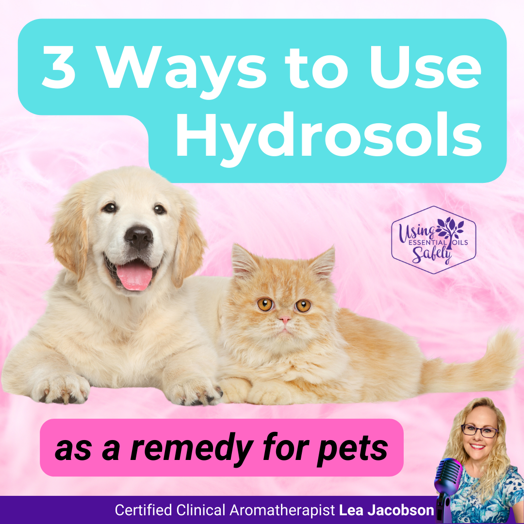 3 Ways to Use Hydrosols as a Remedy for Pets