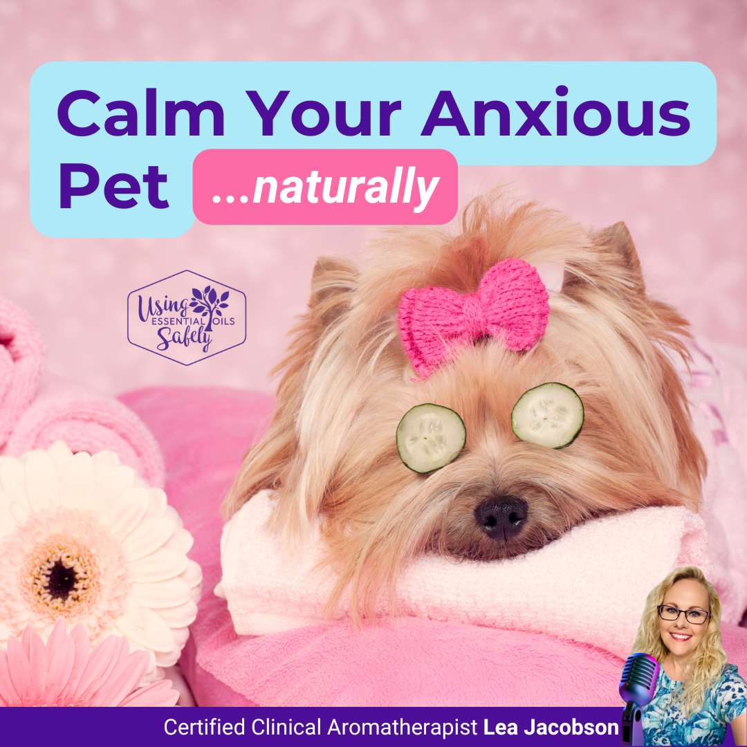 Calm Your Anxious Pet Naturally